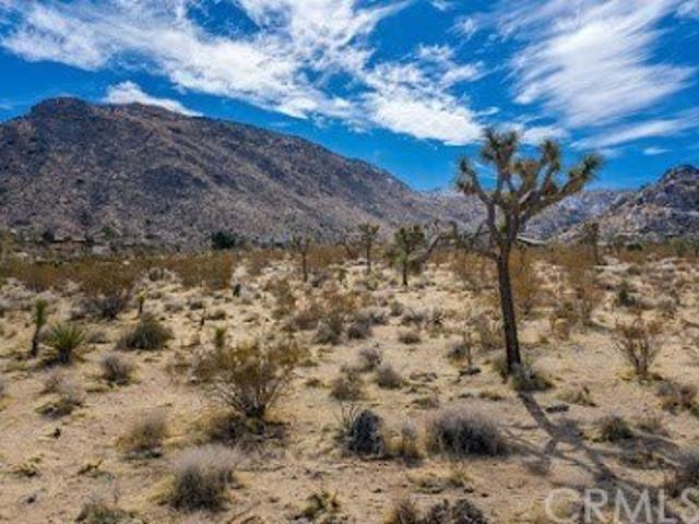 Melton, Joshua Tree, CA 92252