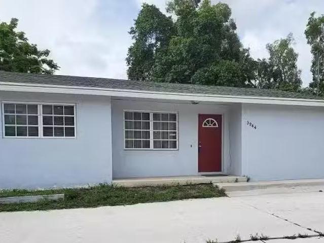 Melaleuca, LAKE WORTH, FL 33461