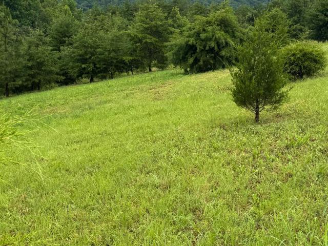 Melea Lane, Kingston, TN 37763