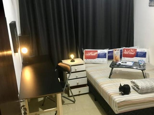 MELHOR & MAIOR QUARTO DA CASA