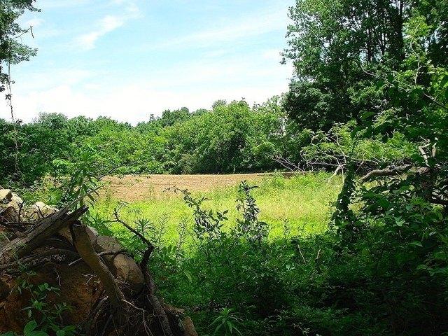 Mellicks Woods Rd, Pohatcong Township, NJ 08804