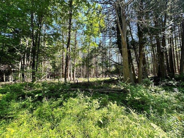 Mellow Way Lot 5, Wilmington, NY 12997