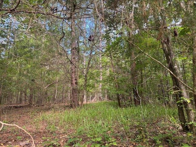 Melody Dr, Waverly Hall, GA 31831