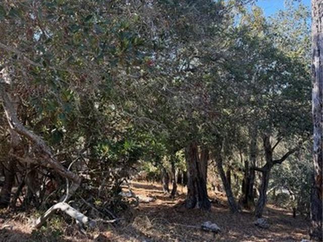 Melrose, Cambria, CA 93428