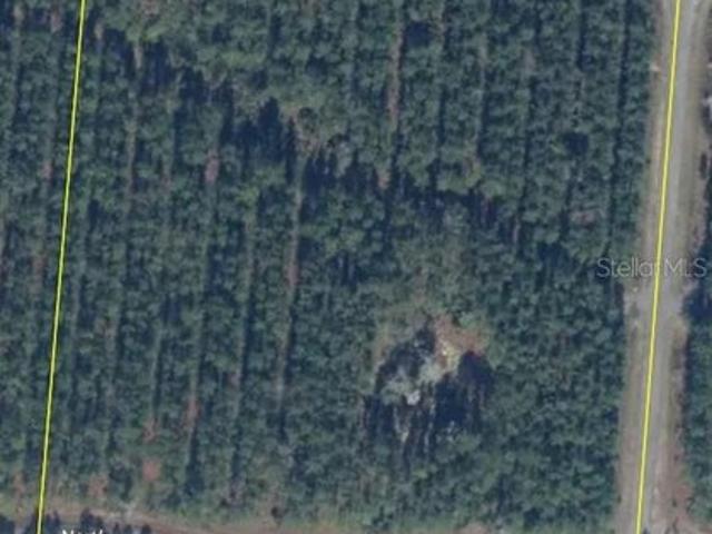 Melrose, FL 32666