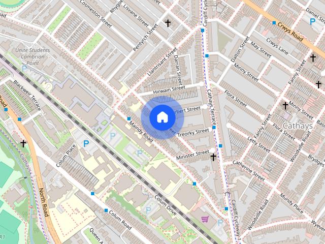 Merthyr Street, Cathays, Cardiff, CF24 4JL