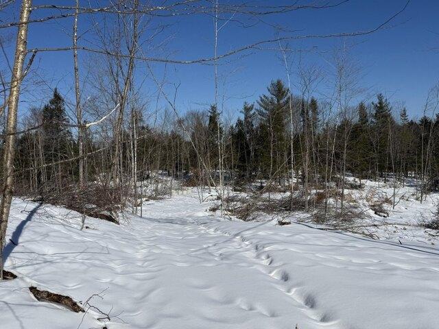 Mercer ME 04957 LS102218620