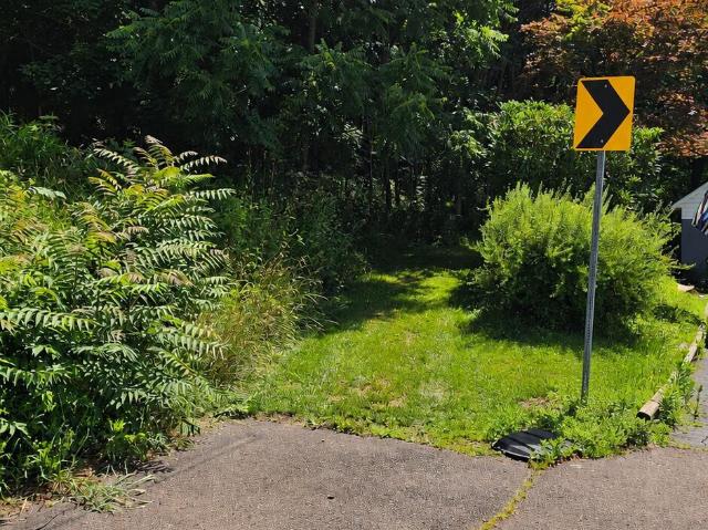 MERCERON Street, Catawissa, PA 17820