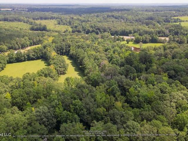 Meredith Rd, Collinsville, MS 39325