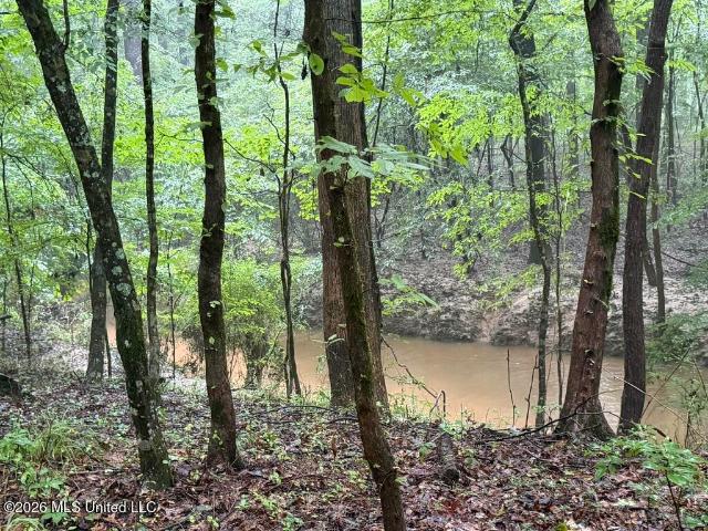 Meredith Road, Collinsville, MS 39325