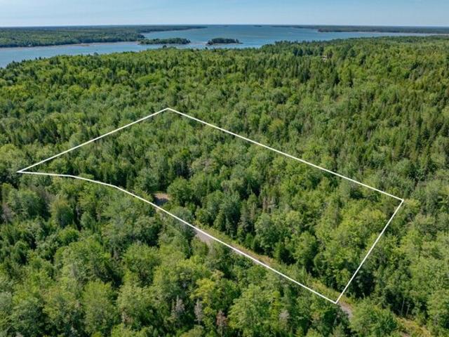Merganser Dr Lot,gouldsboro, Plot For Sale