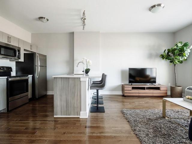 Meridia On Westfield 1 Bedroom Apartment for Rent at 240 W Westfield Ave, Roselle Park, NJ 07204