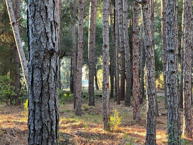 Meridian Rd, Beaufort, SC 29907
