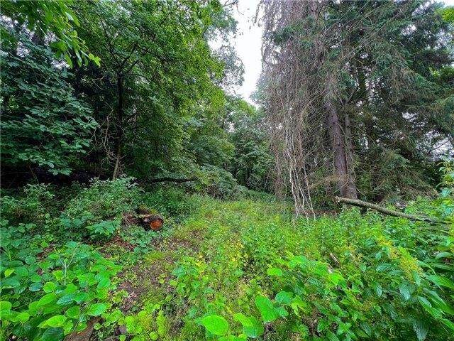Meridian Rd, Renfrew, Plot For Sale