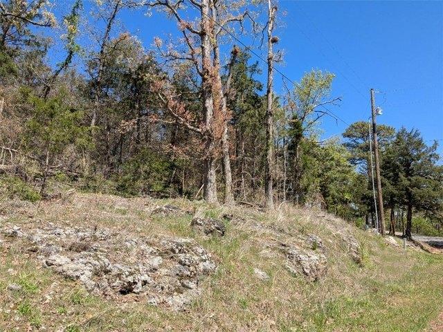 Merion Dr Lot 2, Holiday Island, AR 72631