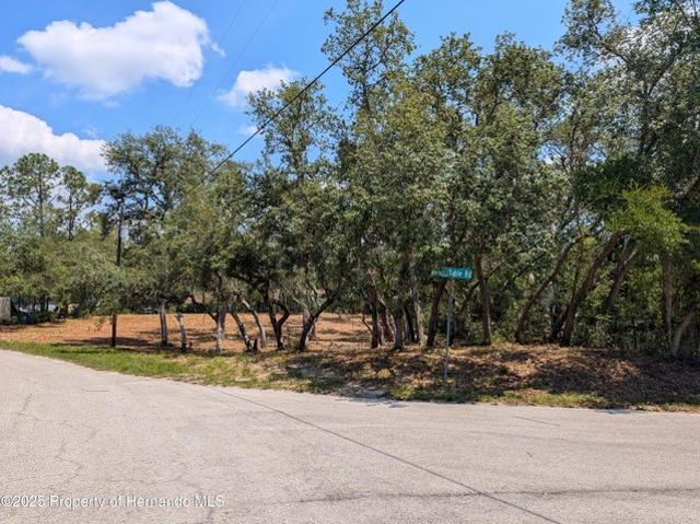 Merlin Cir, Ridge Manor, FL 33523