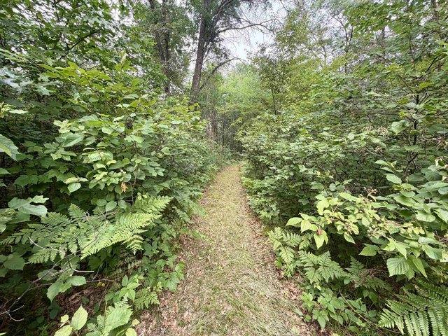 Merlin Ln, Crivitz, WI 54114