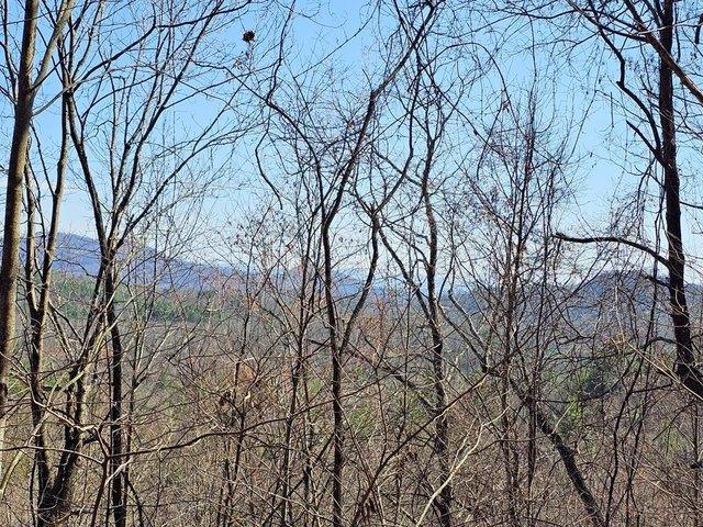 Merlin Trl / Warbler Rd Lot 39, Murphy, NC 28906