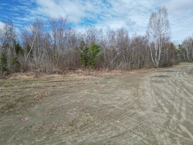 Merriman Rd Lot I, Island Falls, Plot For Sale