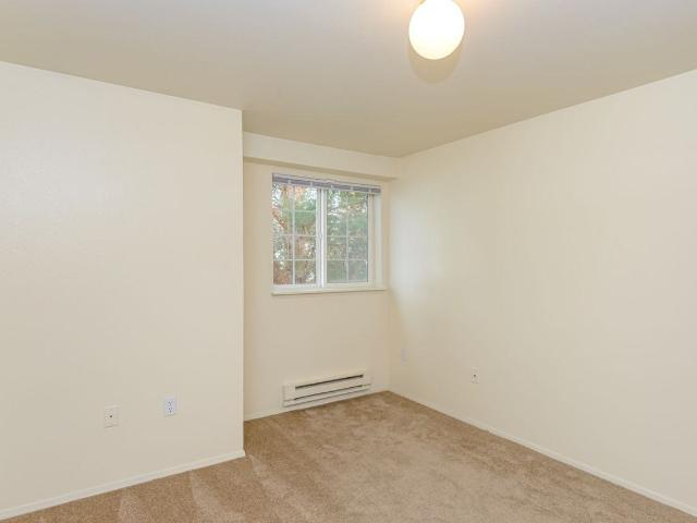 Merrill Creek 1 Bedroom Apartment for Rent at 6022 78th Street Ct W, Lakewood, WA 98499 North Lakewood