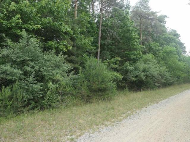Merrill Dr, Vestaburg, MI 48891