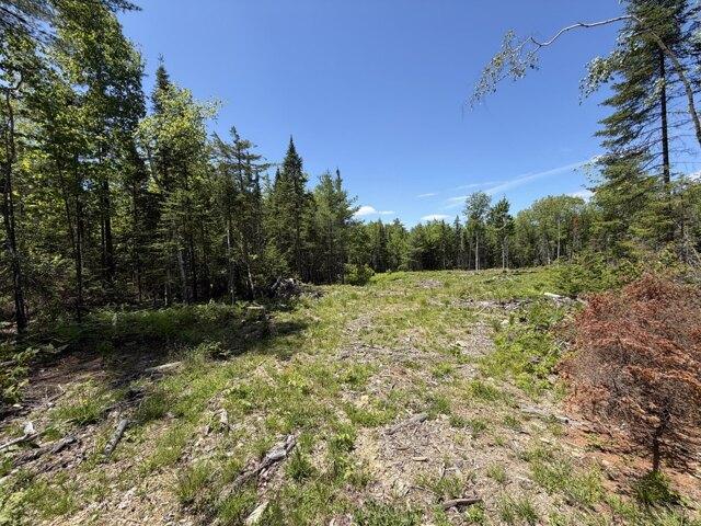 Merritt Dr, Orono, Plot For Sale