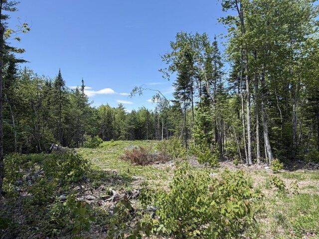 Merritt Dr, Orono, Plot For Sale