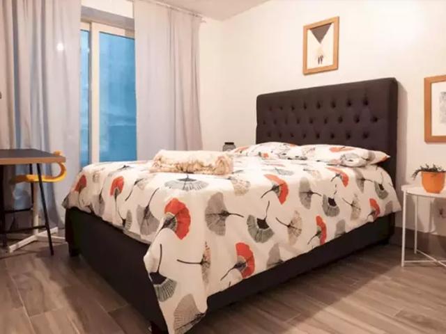 Meserole St #729