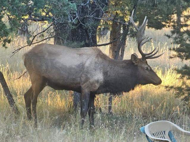 Mesita Dr, Alto, NM 88312