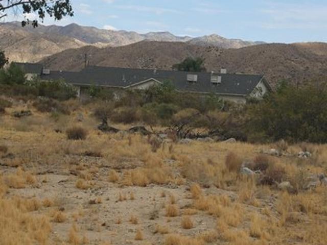 Mesquite, Morongo Valley, CA 92256