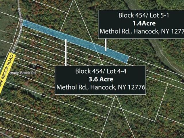 Methol Rd, Roscoe, NY 12776