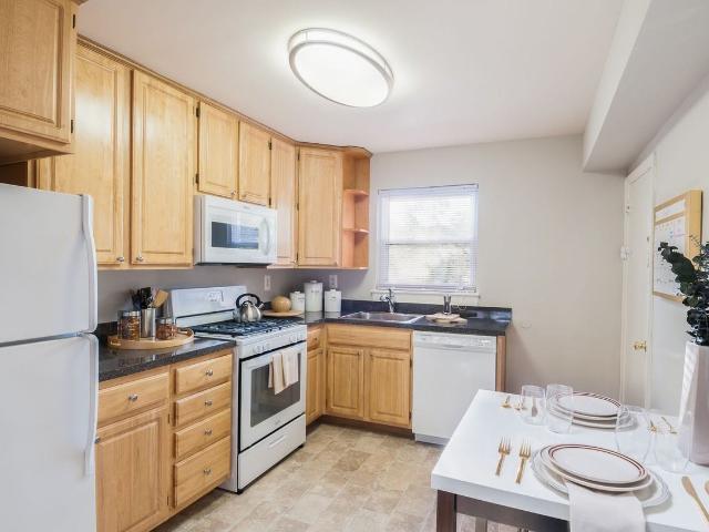 Metropolitan Collingswood 2 Bedroom Apartment for Rent at 213 Garfield Ave, Collingswood, NJ 08108