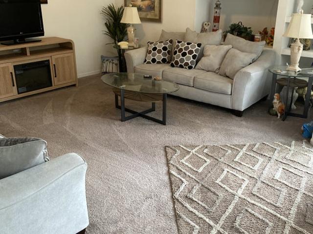 Metrowest, needing a roommate