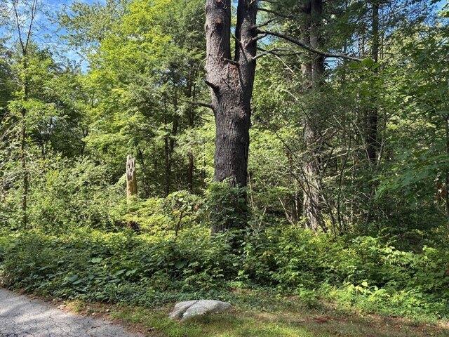 Meyer Ln, Hamilton, Plot For Sale