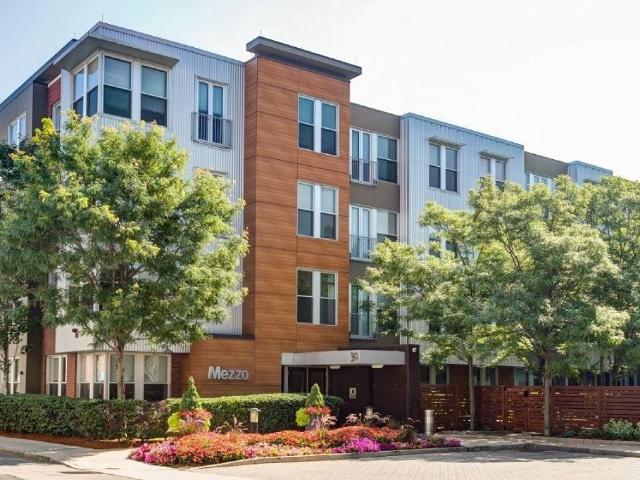 Mezzo Design Lofts 1 Bedroom Apartment for Rent at 30 Caldwell St, Somerville, MA 02129 East Somerville