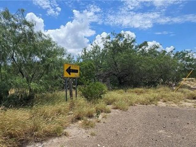 MI Ranchita Dr, Rio Grande City, TX 78582