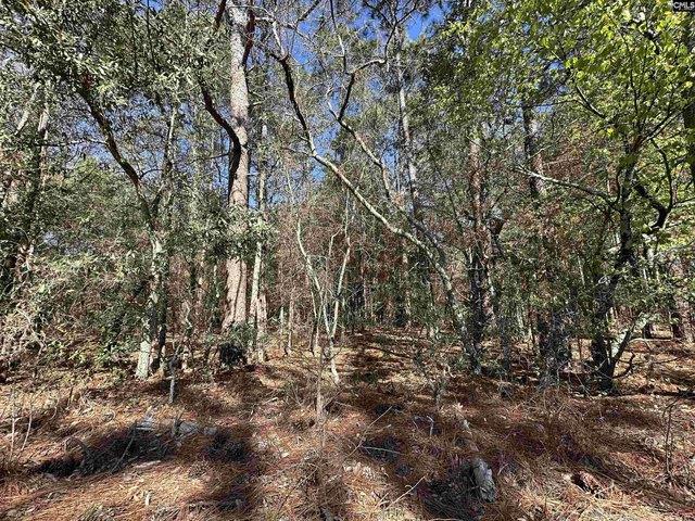 Mimosa Dr Lot 2, Gaston, SC 29053