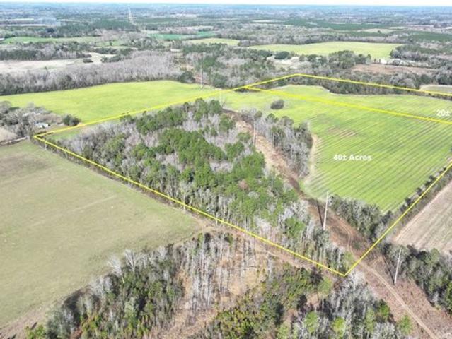 Mimosa Ln, Cottondale, FL 32431