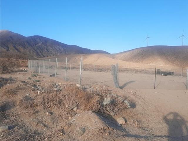 Mint, Whitewater, CA 92282