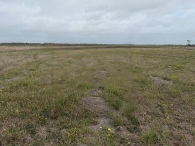 Mina, Matagorda, TX 77414