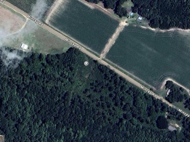 Mincey Rd, Brooklet, GA 30415