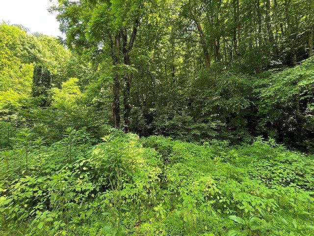 Mincey Rd, Franklin, NC 28734