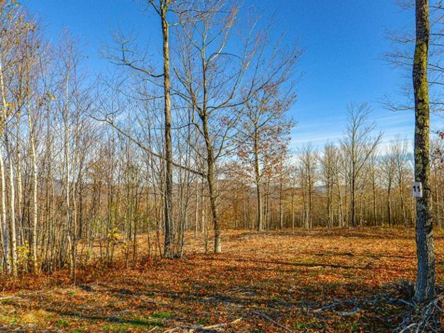 Mine Rd Lot 11, Stoneham, ME 04231