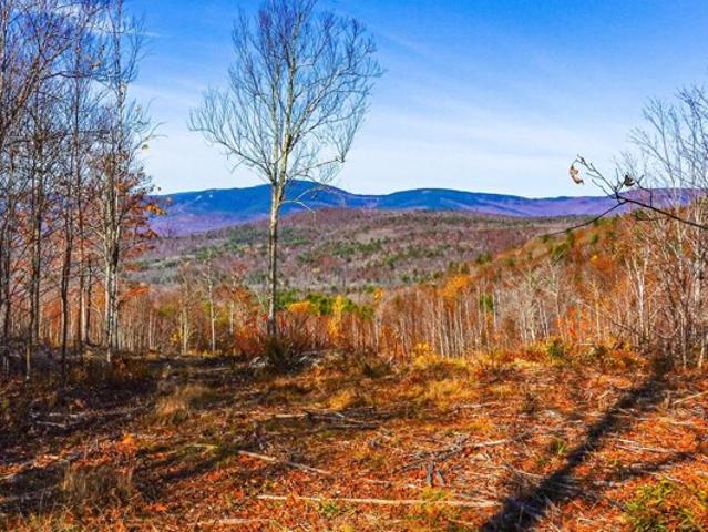 Mine Rd Lot,stoneham, Plot For Sale