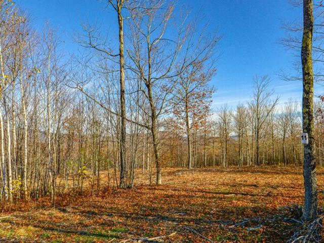 Mine Rd Lot,stoneham, Plot For Sale