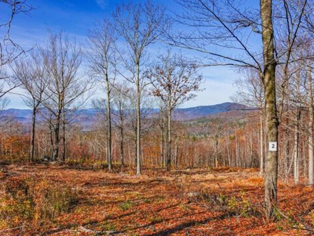Mine Rd Lot,stoneham, Plot For Sale