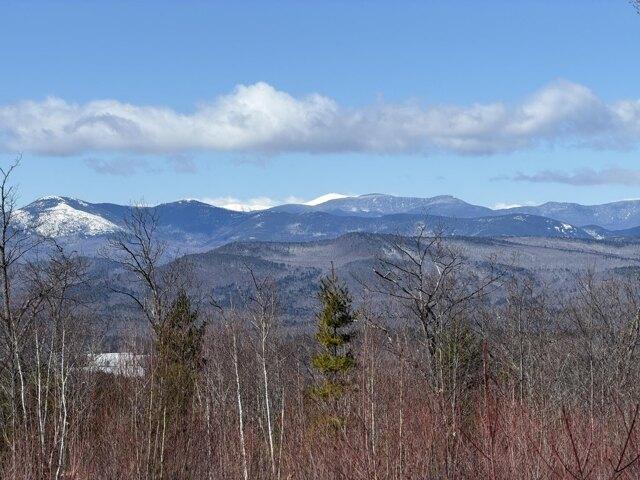 Mine Rd Lot,stoneham, Plot For Sale