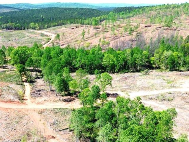 Mines Acres Rd Lot 218, Ashland, AL 35160