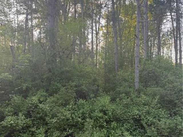 Miner Rd, Bridgeport, NY 13030
