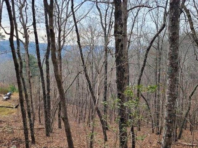 Mineral Bluff GA 30559 88247548